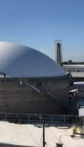 Products - Papop Co., Ltd.